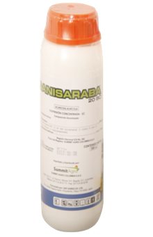 Our products | Chrysal