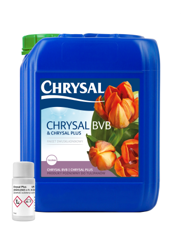 Our products | Chrysal