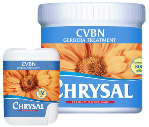 Chrysal CVBN | Chrysal